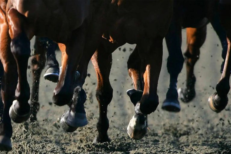 The Nevada Gaming Commission increases the penalty against horse ...